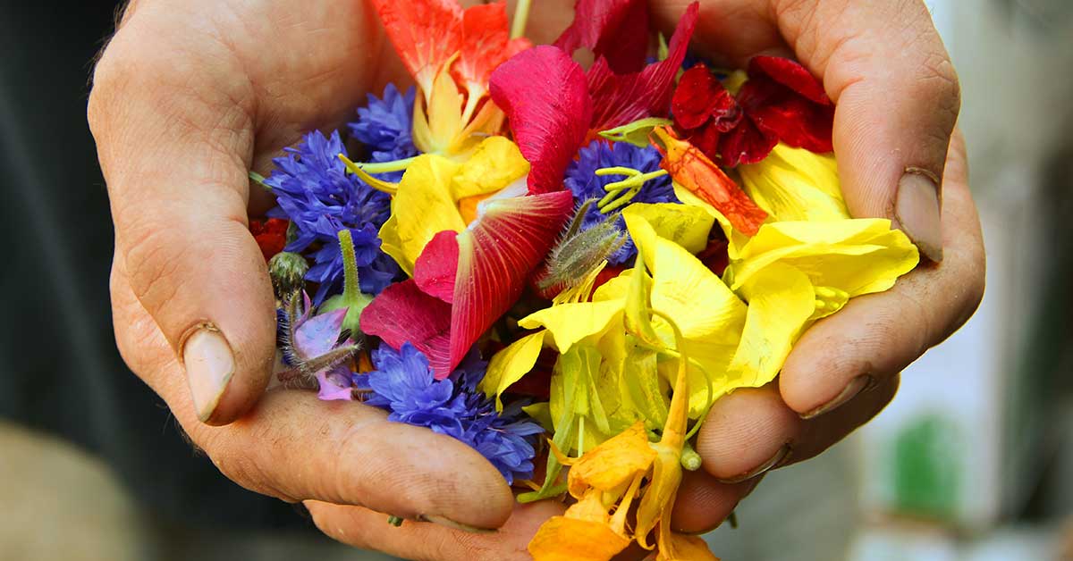 Qingming Festival - NextPivotPoint